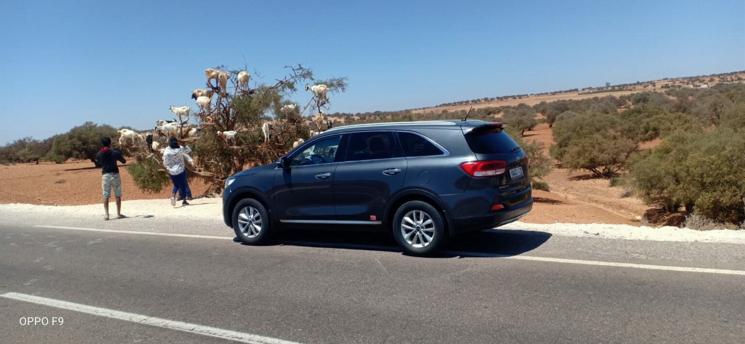 Taxi From Agadir to Marrakech - Taxi Marrakech Taxi From Agadir to Marrakech - Taxi Marrakech